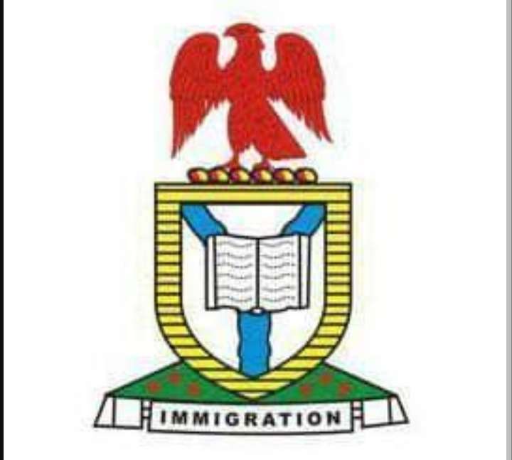 Nigeria Immigration Service Clears 204,332 Backlogs Of Passports | The ...