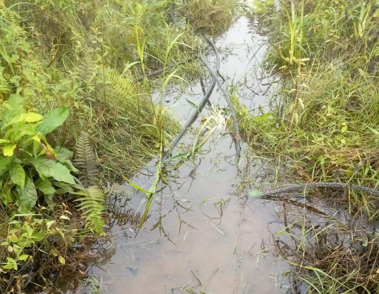 Vandals Intensify Attack on Nigeria's Power Infrastructure, Steal ...