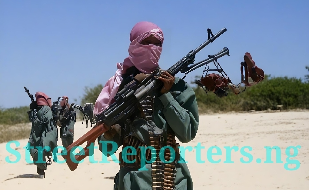 Breaking News: New Terror Group 'Mahmuda' Emerges in North Central ...